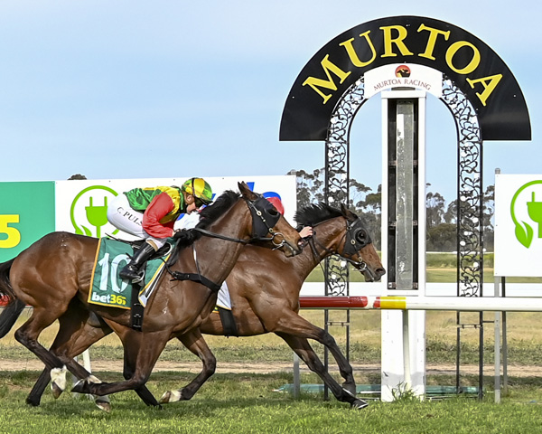 Saturday Events Program - Murtoa's Big Weekend